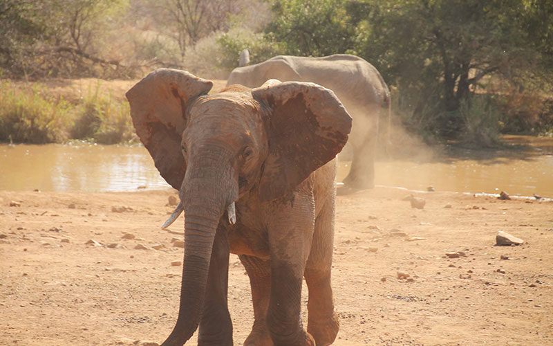 Bakgatla Resort – Golden Leopard Resorts