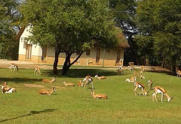 Cooke’s Lake – Golden Leopard Resorts