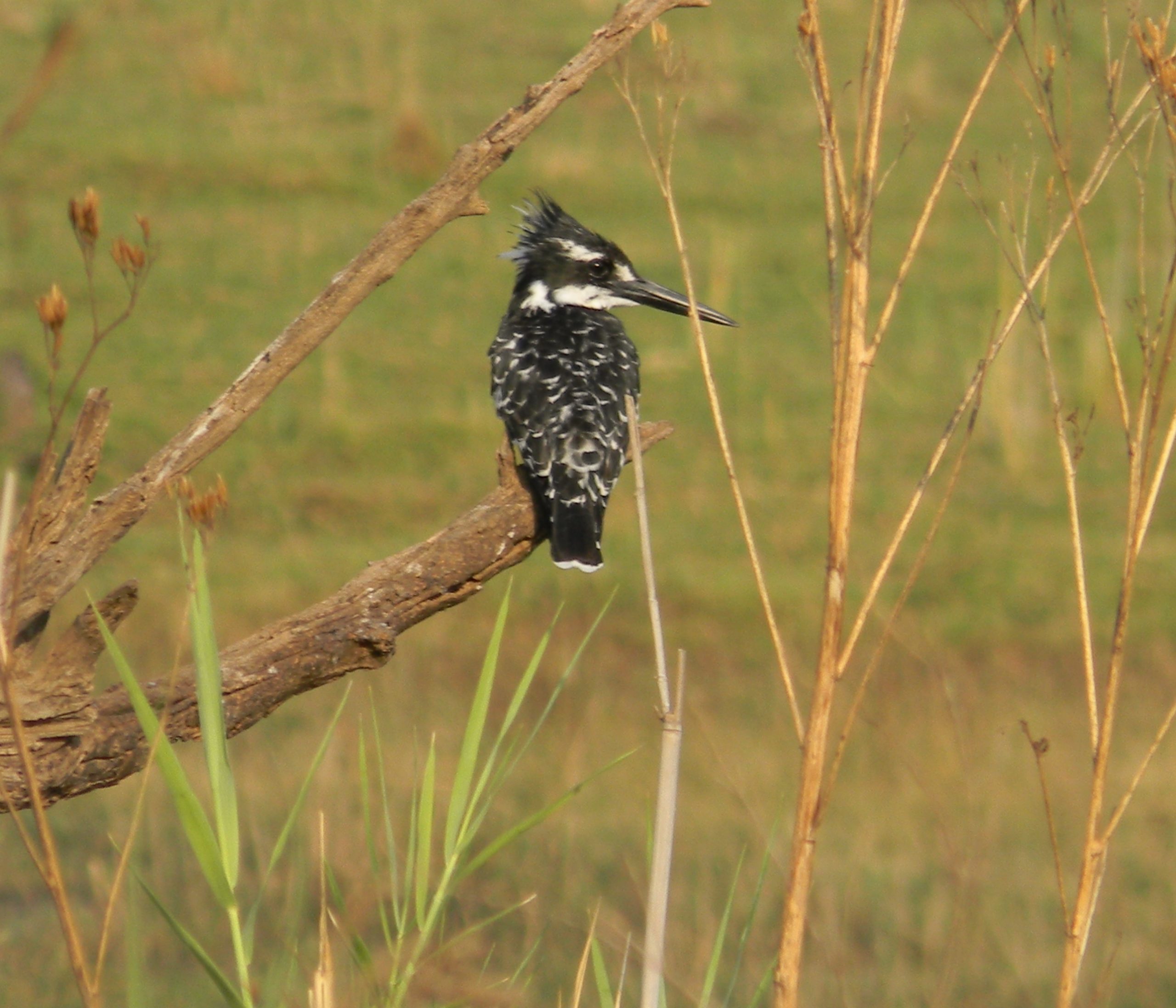 Bakgatla Resort – Golden Leopard Resorts